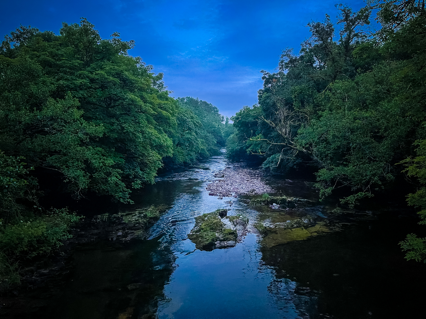 Penwyllt / Wild Headland – capture.wales